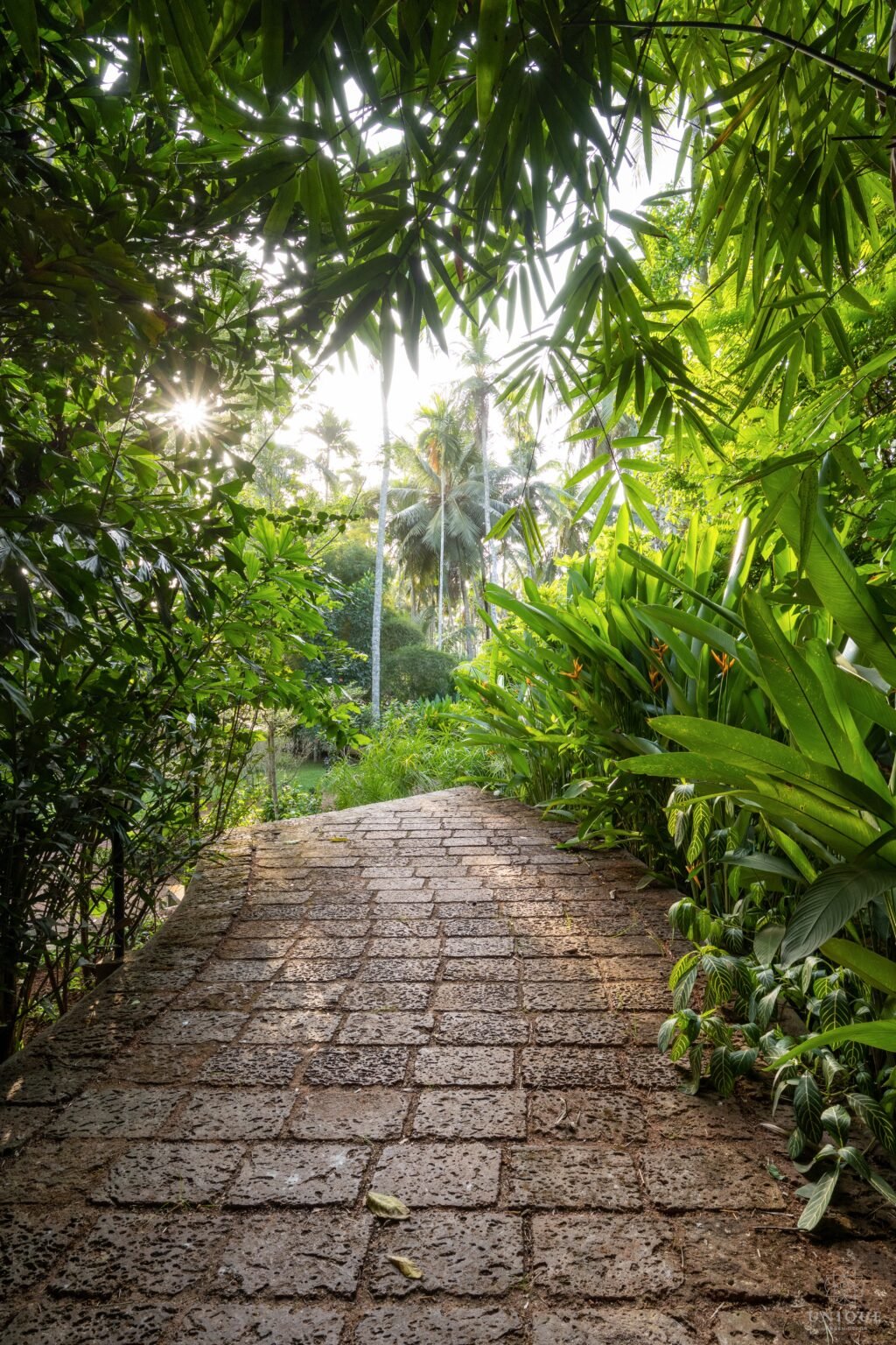 Pallak Resort Malappuram | 5-Star Luxury Stay & Weddings